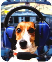 las radios de mi amo.es